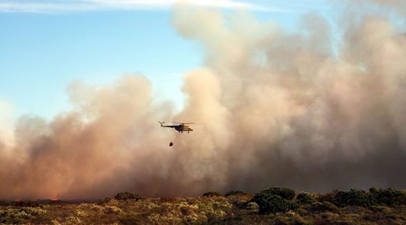 How to Prepare for a Bushfire – Complete Guide for Australians – Fire ...