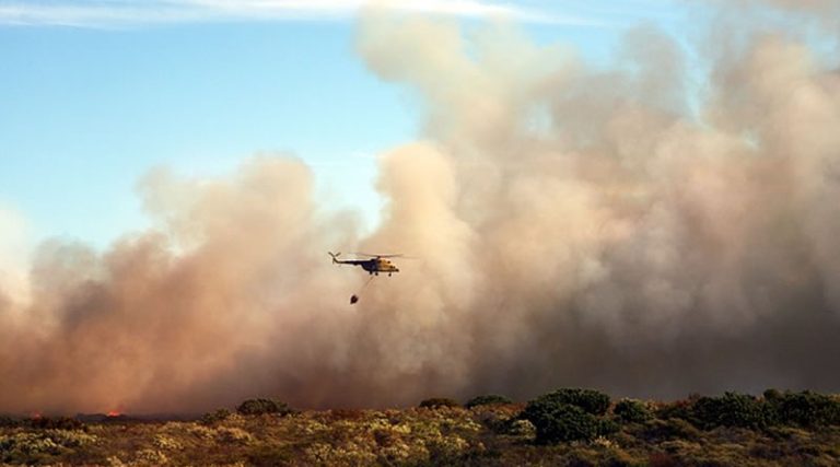 Australian Bushfires Facts - Comprehensive Guide for Owners