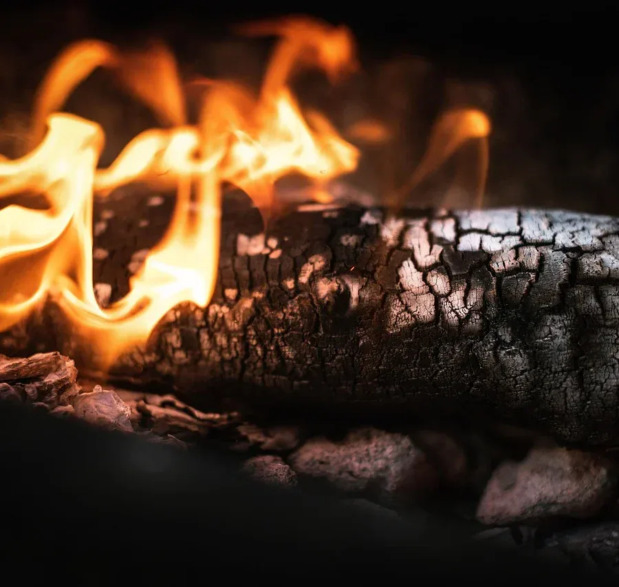 How to Prepare for a Bushfire – Complete Guide for Australians – Fire ...